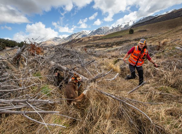 Fetch | New Zealand Geographic