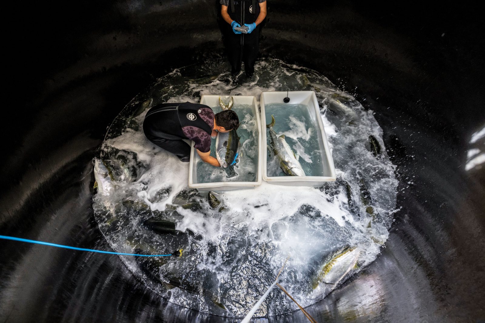 Fish out of water | New Zealand Geographic