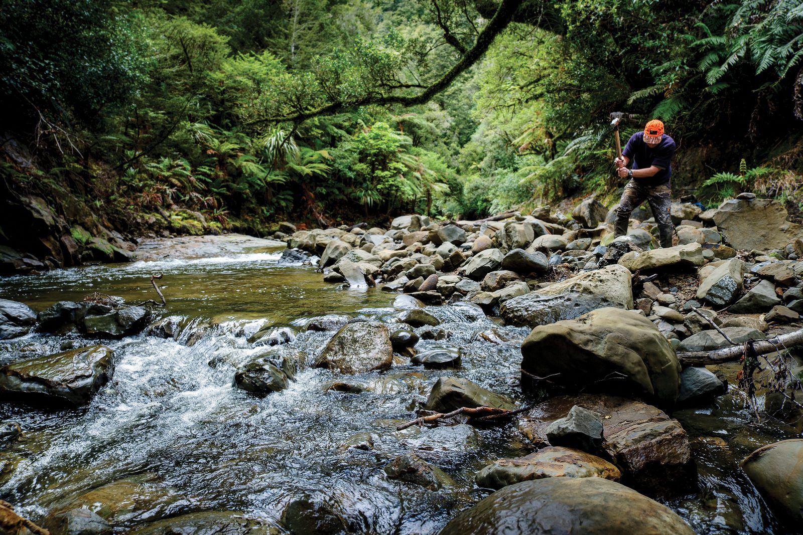 New Zealand Geographic